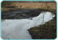 Wild Spaces Fund - People Preserving Places