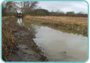 Wild Spaces Fund - People Preserving Places
