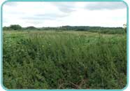 Wild Spaces Fund - People Preserving Places