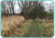 Wild Spaces Fund - People Preserving Places